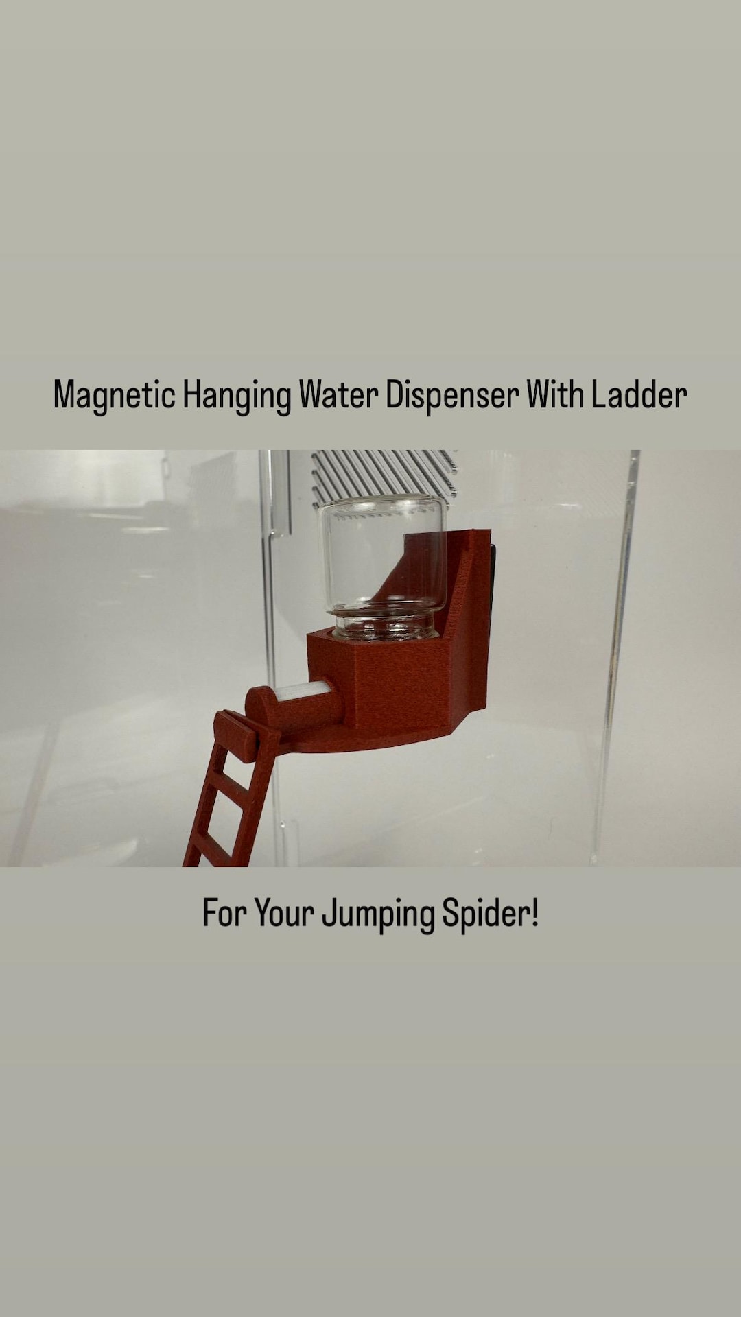 The Original Jumping Spider Water Station Hanging Magnetic Wicking ...