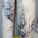 3D Birch/aspen Tree Logs 100% Wood - Etsy