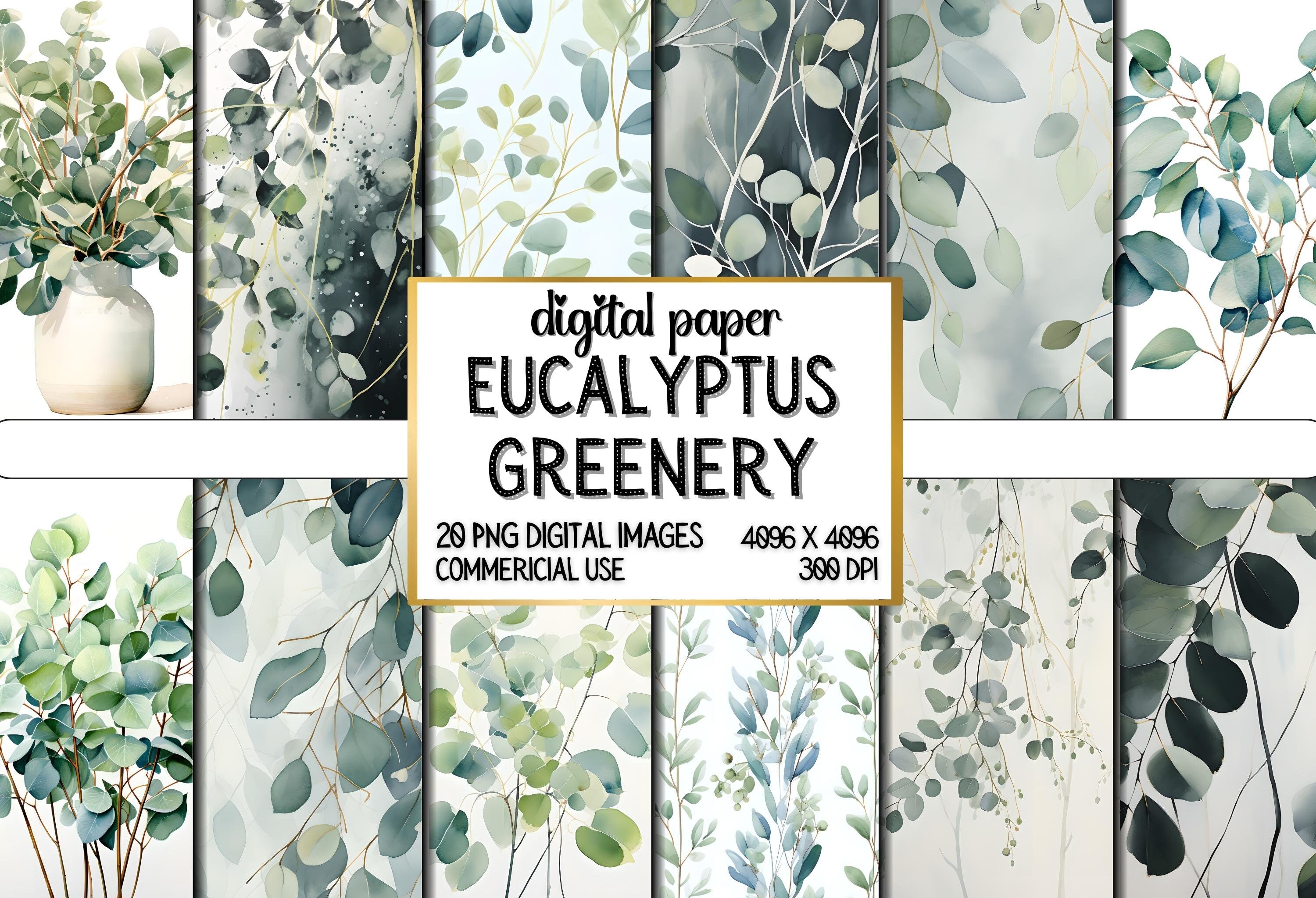Watercolor Eucalyptus Clipart Digital Paper, Green Leaves, Greenery ...