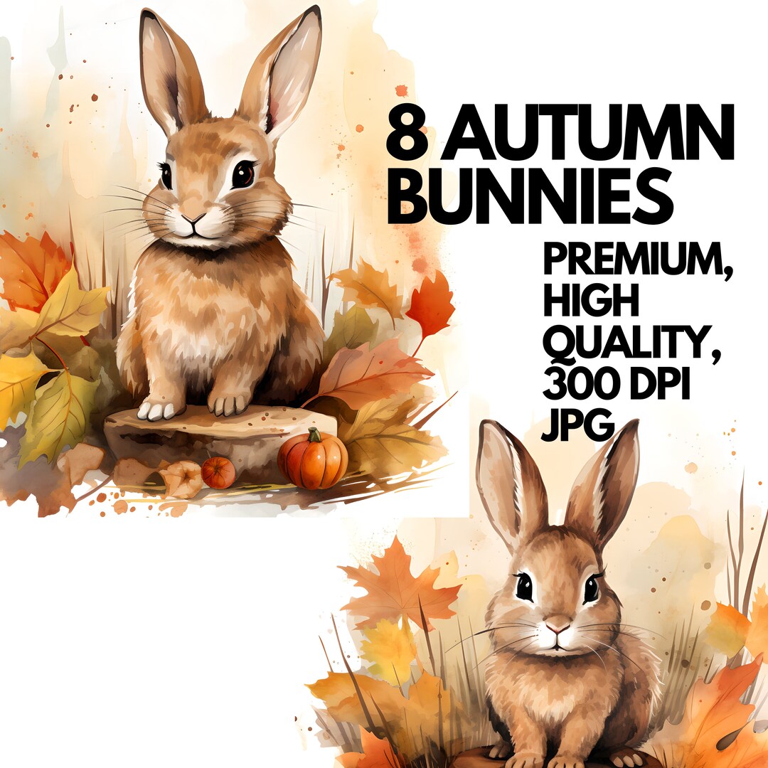 Cute Autumn Bunny Clipart Set - 8 JPG Autumn Bunnies for Commercial Use ...