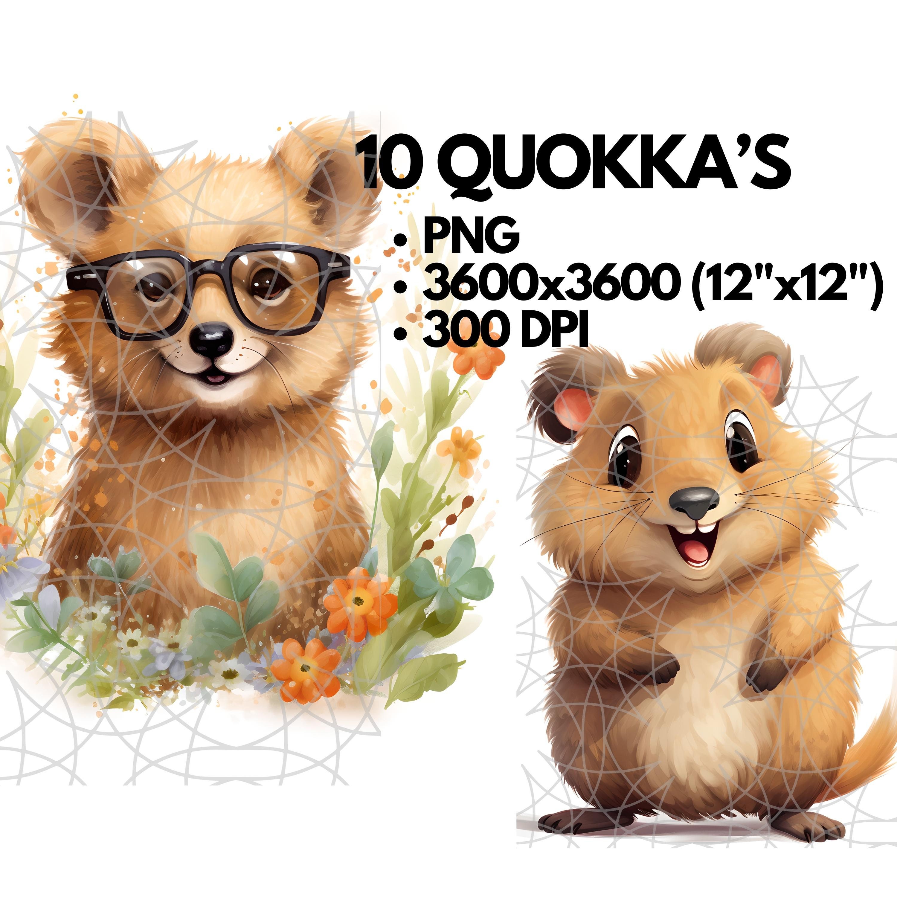 Cute Quokka Clipart Set - 10 PNG Xmas Quokkas for Commercial Use ...
