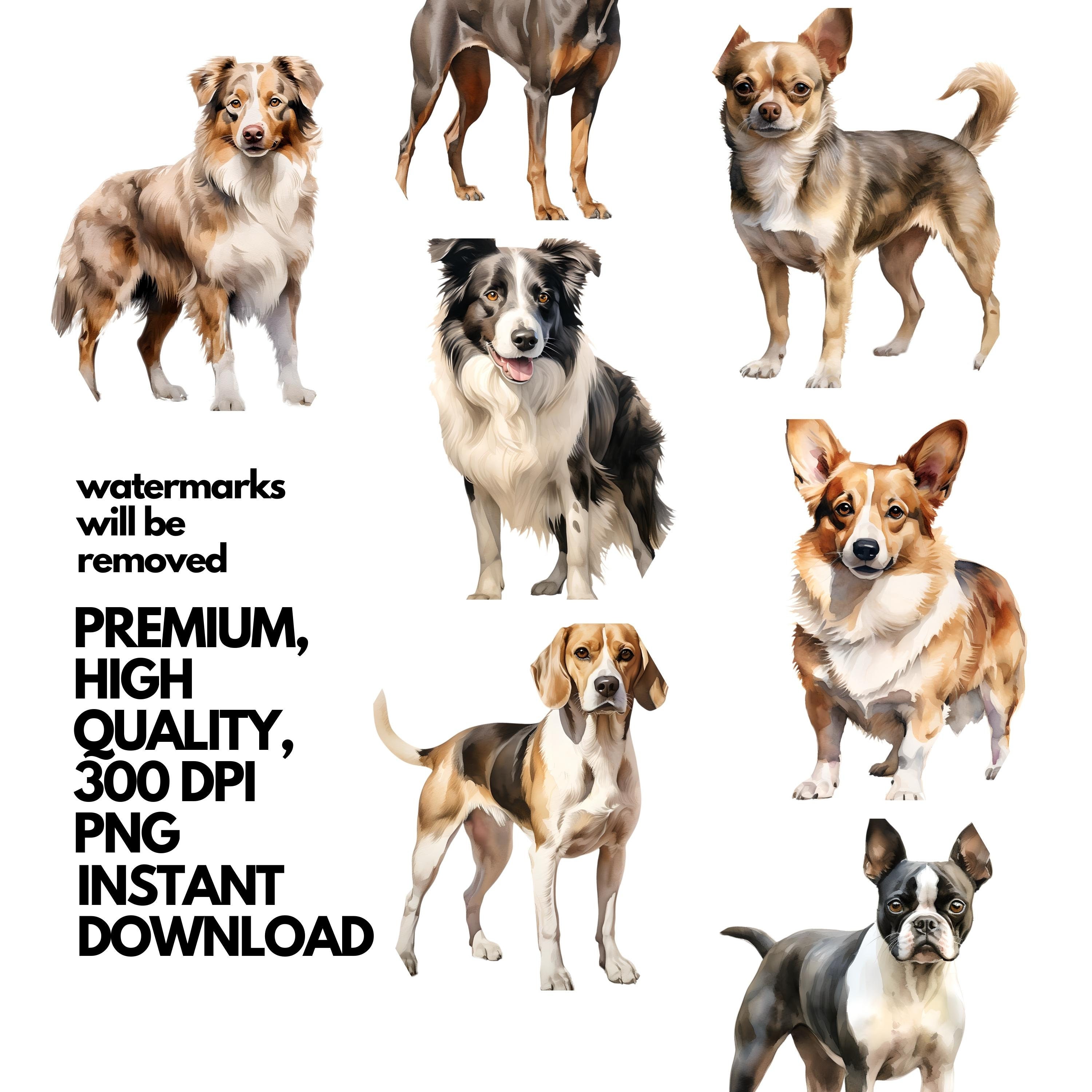 Watercolor Dogs Clipart 20 Dog Breeds Clipart Bundle Dog - Etsy