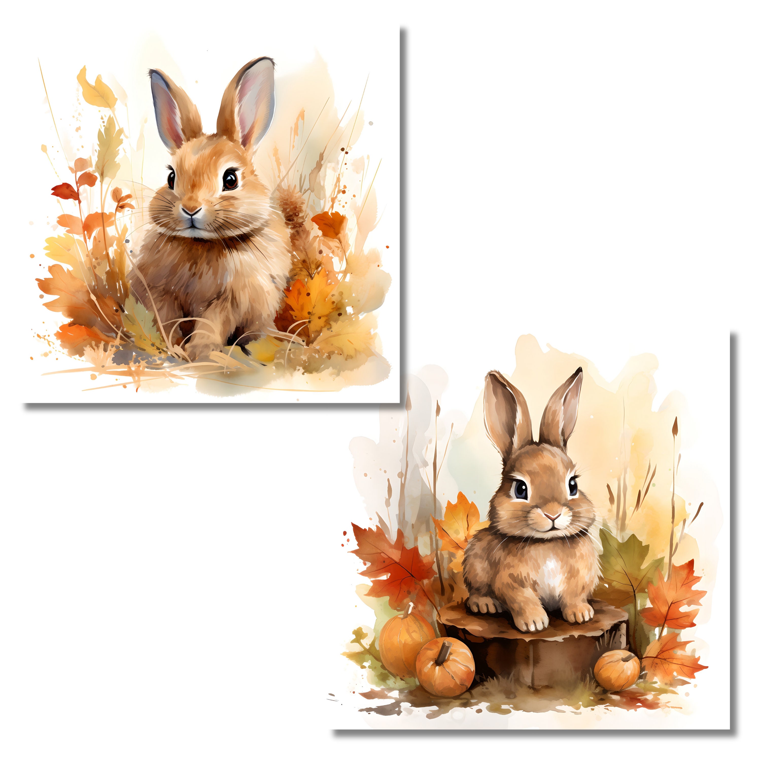 Cute Autumn Bunny Clipart Set - 8 JPG Autumn Bunnies for Commercial Use ...