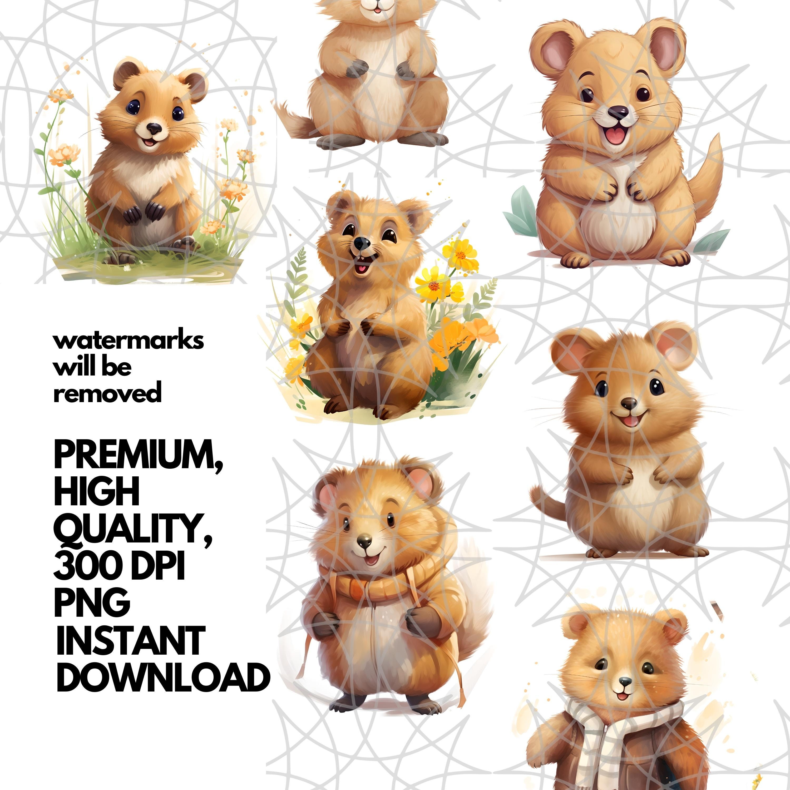 Cute Quokka Clipart Set - 10 PNG Xmas Quokkas for Commercial Use ...