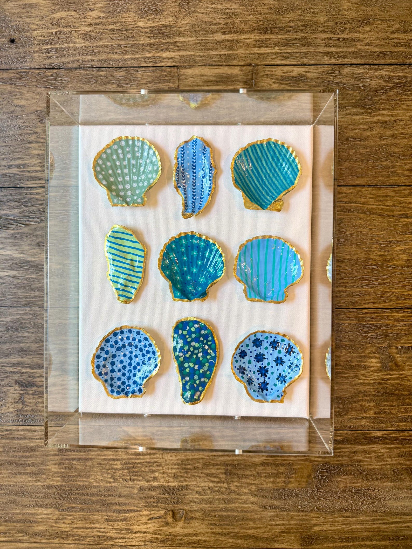 Hand Painted Seashells|acrylic Shadowbox|coastal Wall Art| Ocean ...