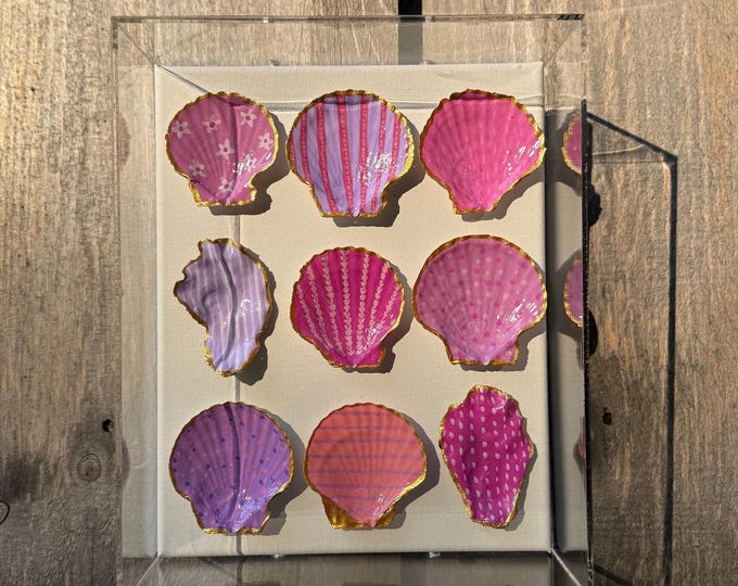 Hand Painted Shells in 8"x10"x2.1" Acrylic Shadowbox|coastal Wall Art ...