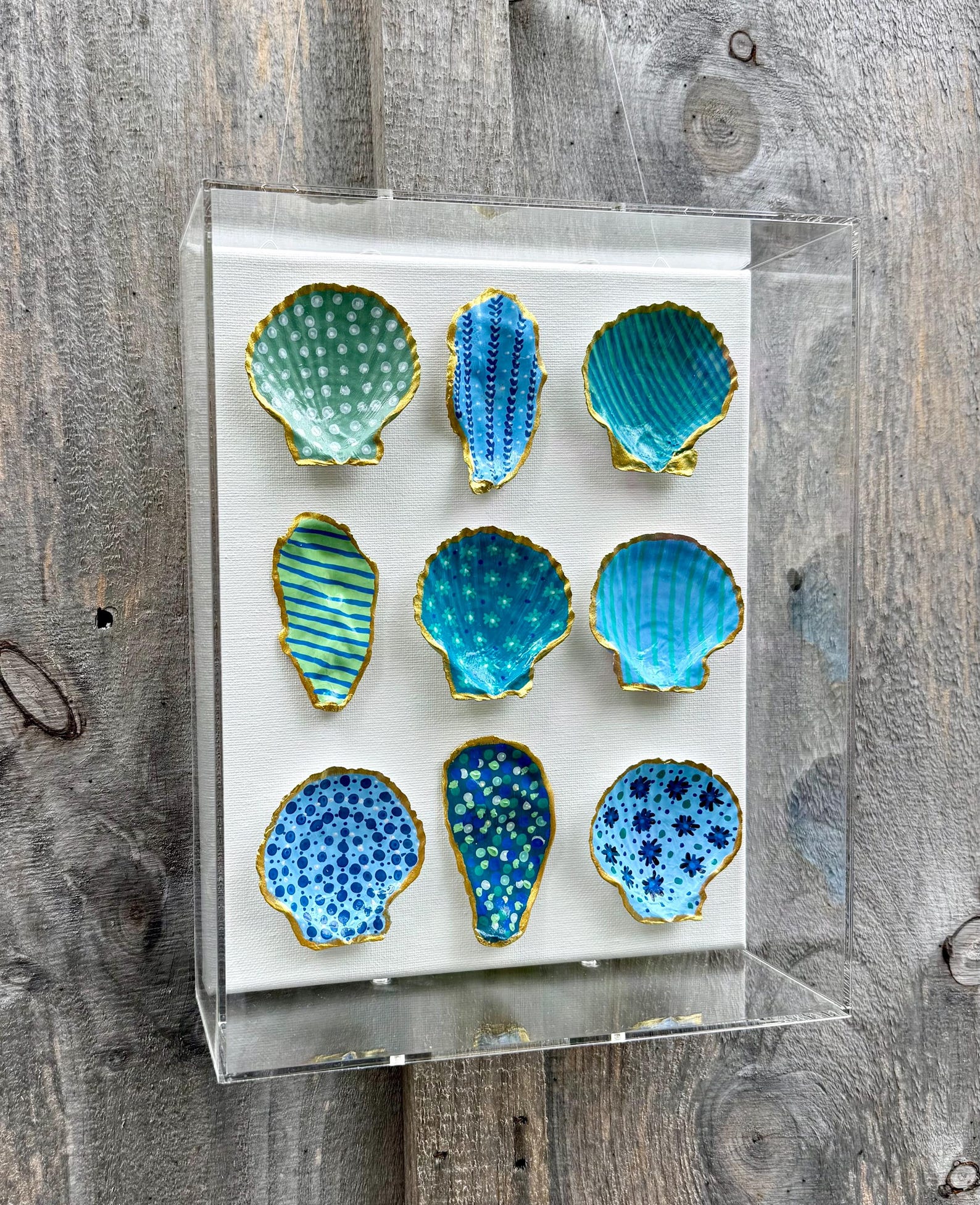 Hand Painted Seashells|acrylic Shadowbox|coastal Wall Art| Ocean ...