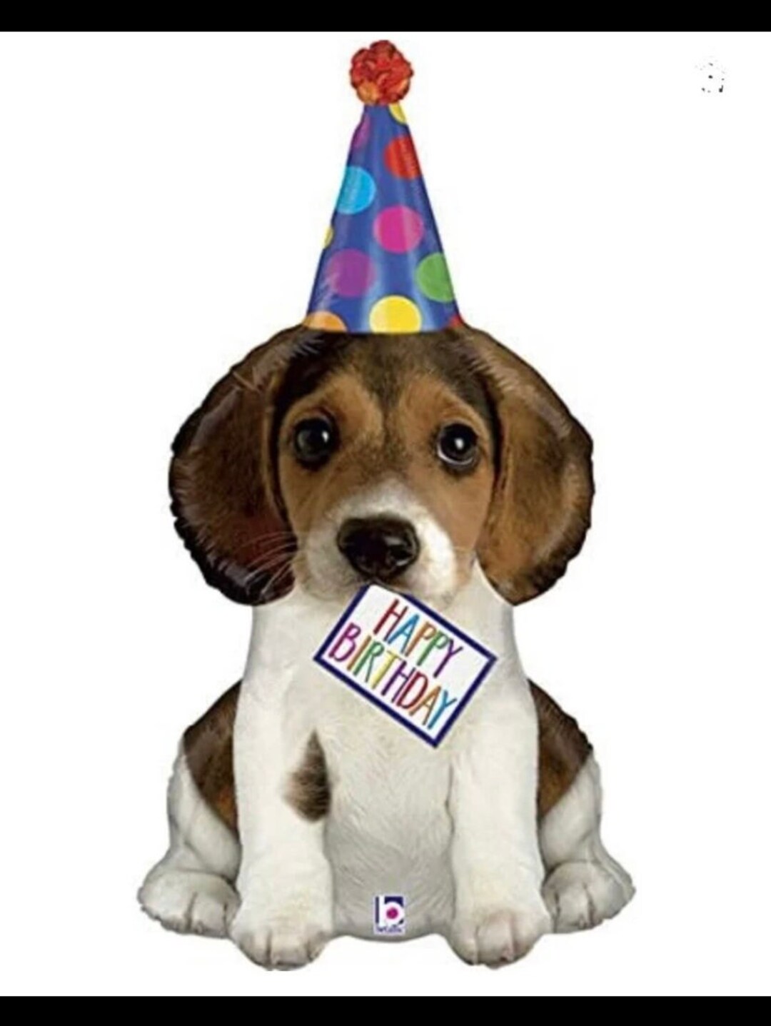 Dog Happy Bday Balloon Large Balloon Dog Lovers Dogs Birthday. Dog ...