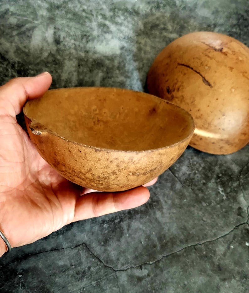Jicara, Kwi Elegu Bowl Divination Dilogun Adimue Large Calabash Gourd ...