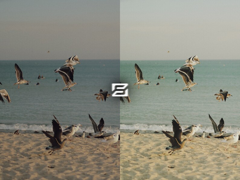 50 FUJIFILM Presets, Retro Analog Preset,outdoor Warm Film Look Photo ...