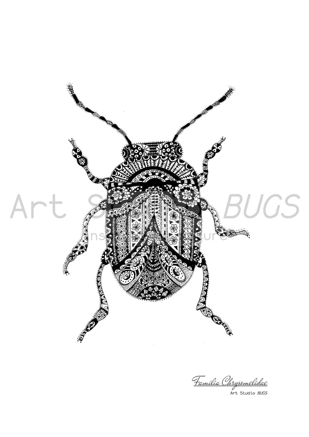 Goldcrest Leef Beetle Art Print of Pen Drawing Illustration Insect Gift ...
