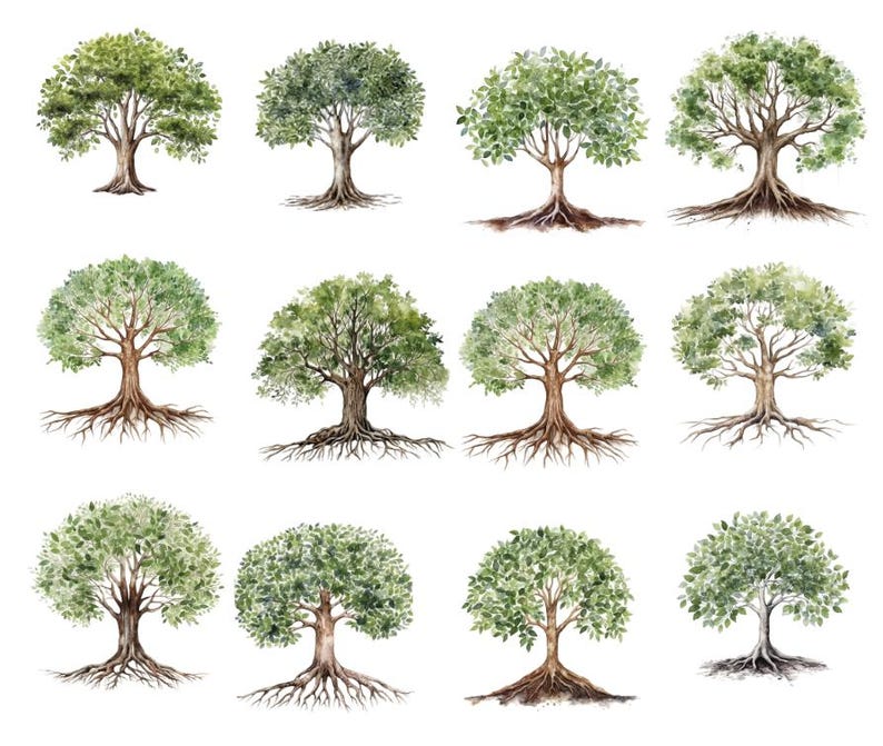 Watercolor Tree With Roots Clipart | Transparent Background | Celtic ...