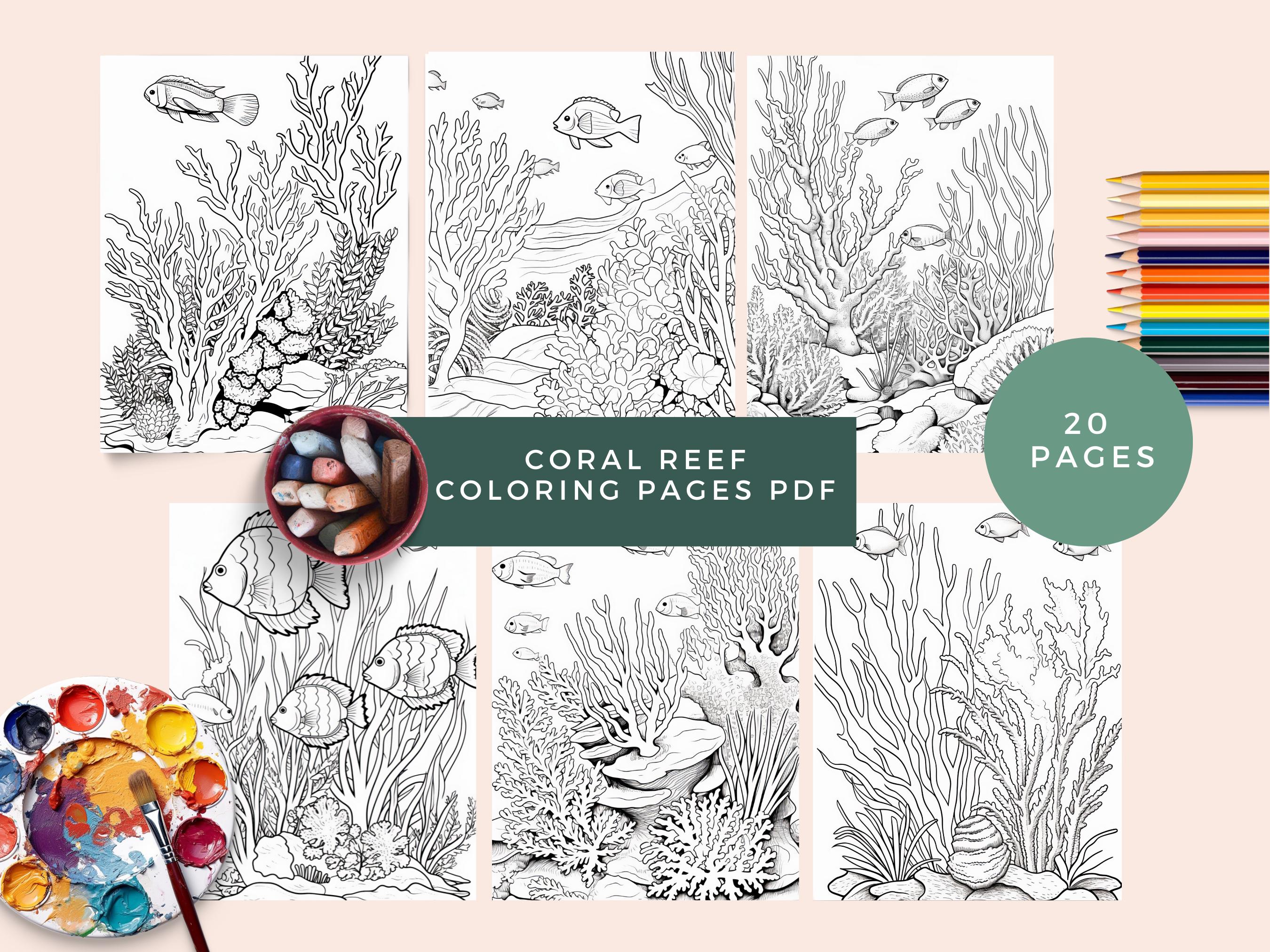 Grayscale Coral Reef Coloring Book Relaxing Undersea Scenes Digital ...