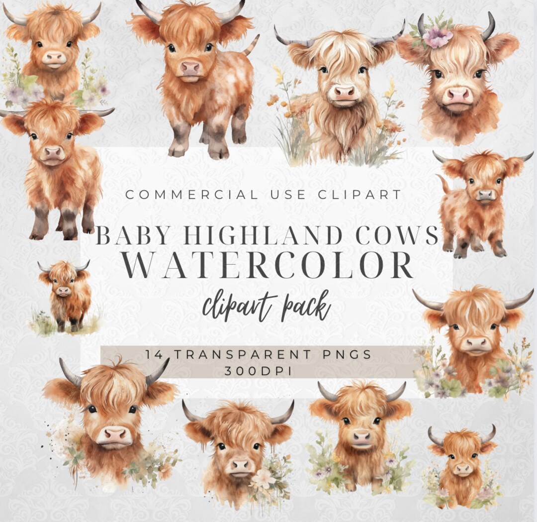 Watercolor Baby Highland Cow Clipart: Farm Animal PNG (digital Download ...