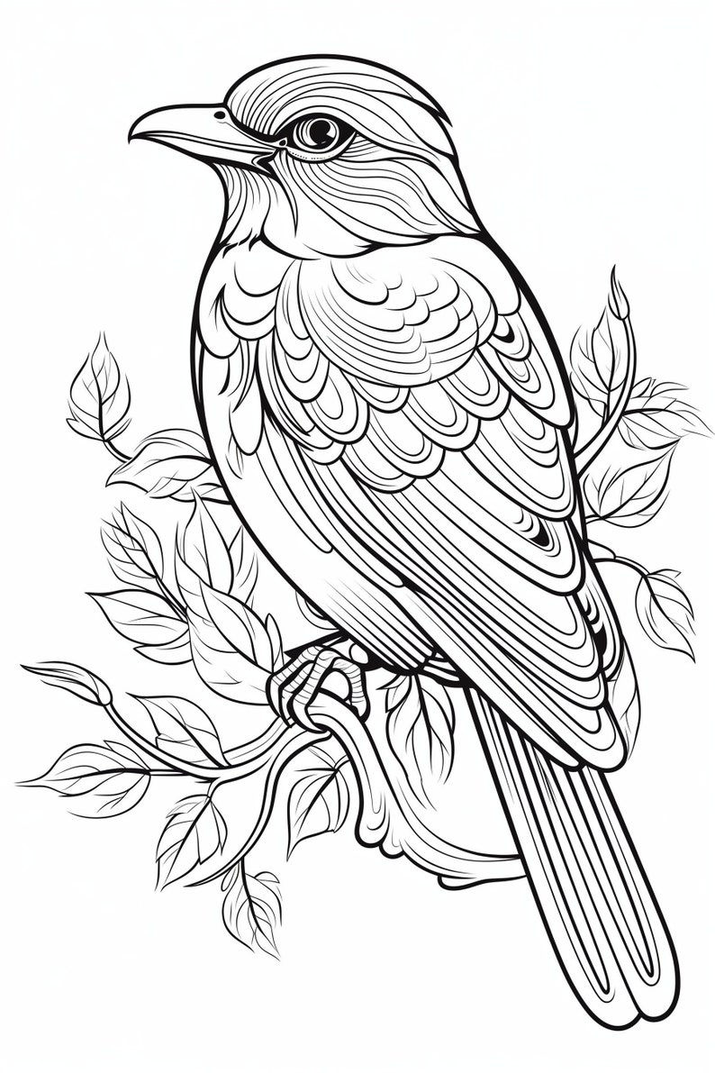 Bird Coloring Sheet | Instant Download | Coloring for Kids and Adults ...