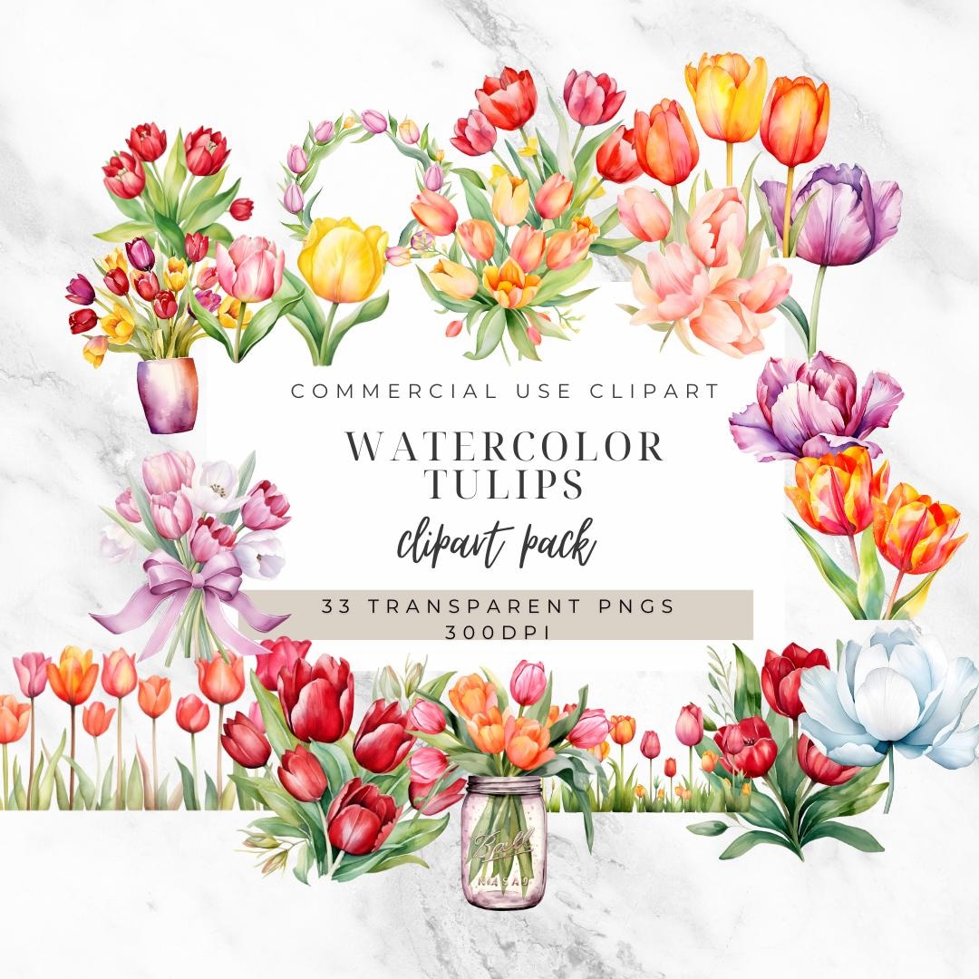 Watercolor Tulip Clipart: Spring Floral Pngs (digital Download) - Etsy