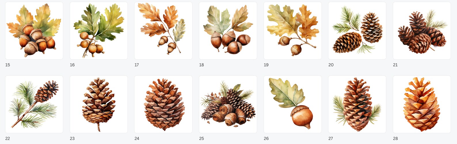Watercolor Acorns and Pinecones Clipart: Autumn PNG Images (digital ...