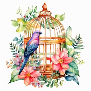 10 Floral Bird Cage JPG 300 DPI Clipart Vol 2 | Commercial Use ...