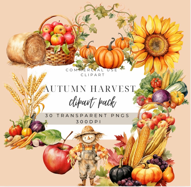 Commercial Use Clipart | Pumpkins | Digital Download | Fall Watercolor ...