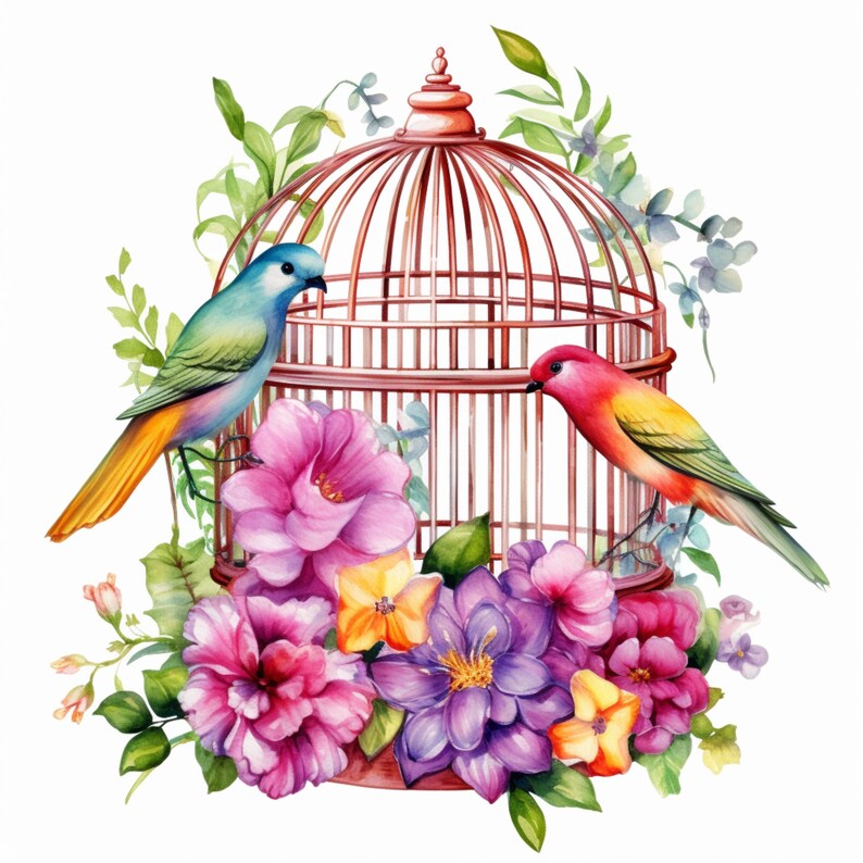 Floral Bird Cage Clipart: Watercolor Flowers, Birds (300 DPI JPG ...