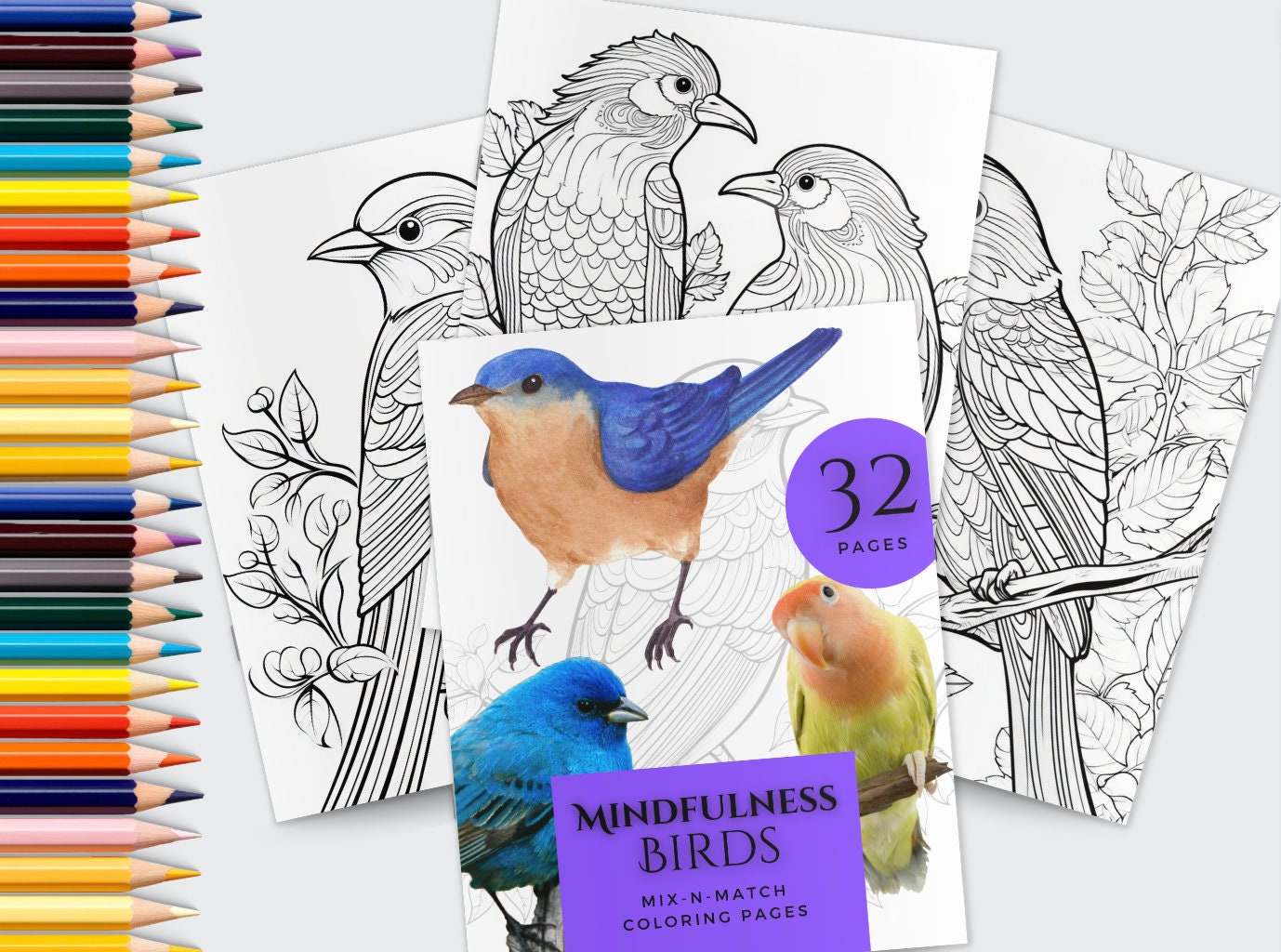 Bird Coloring Sheet Instant Download Coloring for Kids and Adults ...