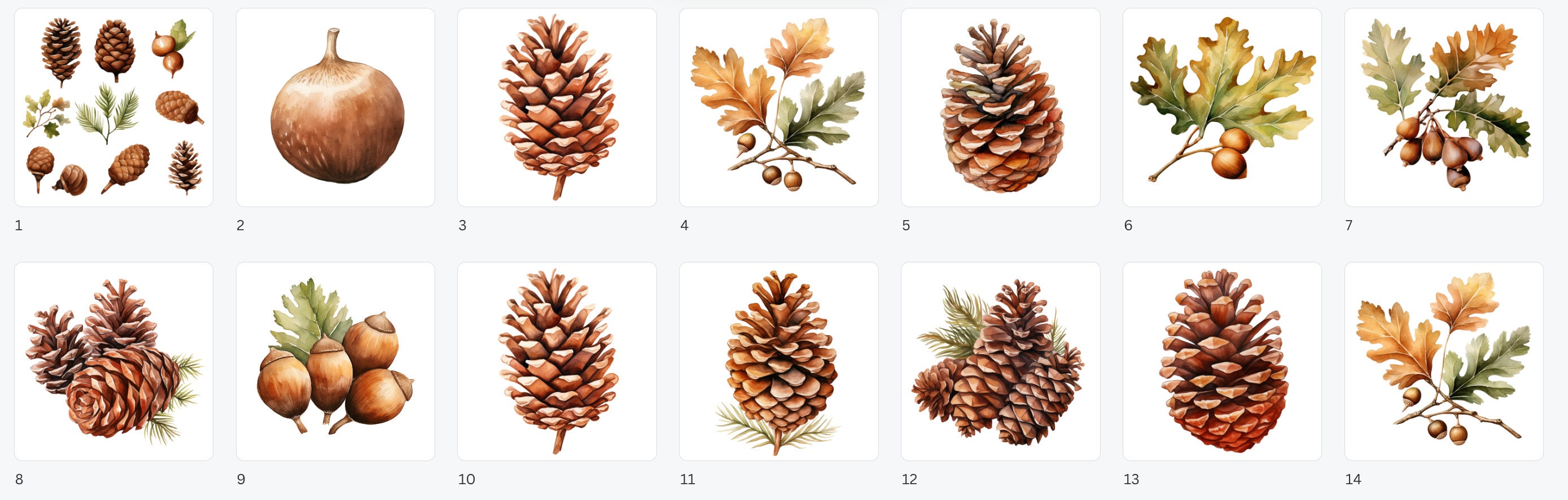 Acorns and Pinecones Clipart | Fall Images PNG | Acorn PNG | Pinecone ...