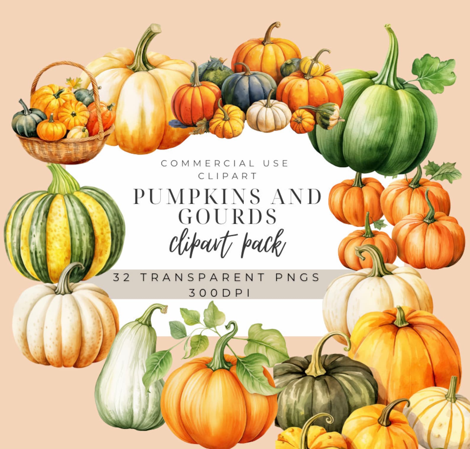 Instant Download Clipart Gourd PNG Digital Download Fall Clipart ...