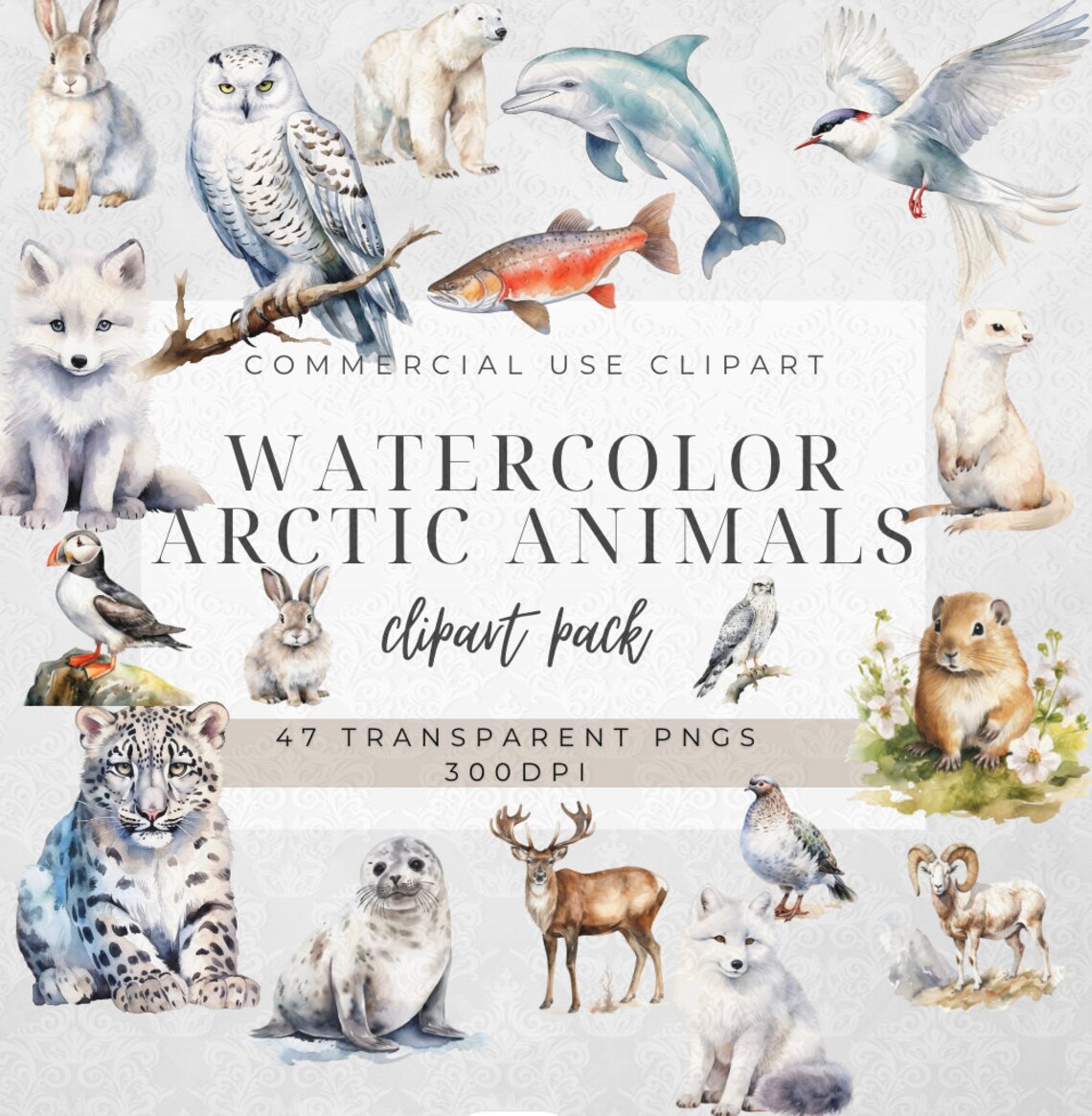 47 Arctic Animals Clipart Digital Download Nursery Art Watercolor ...