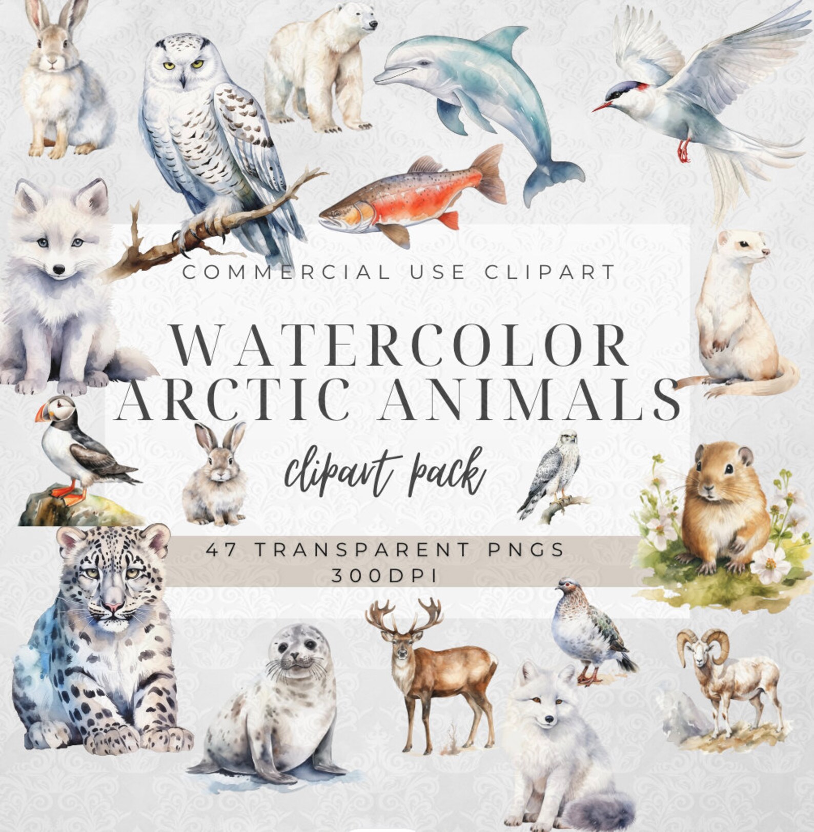 47 Arctic Animals Clipart | Digital Download | Nursery Art | Watercolor ...