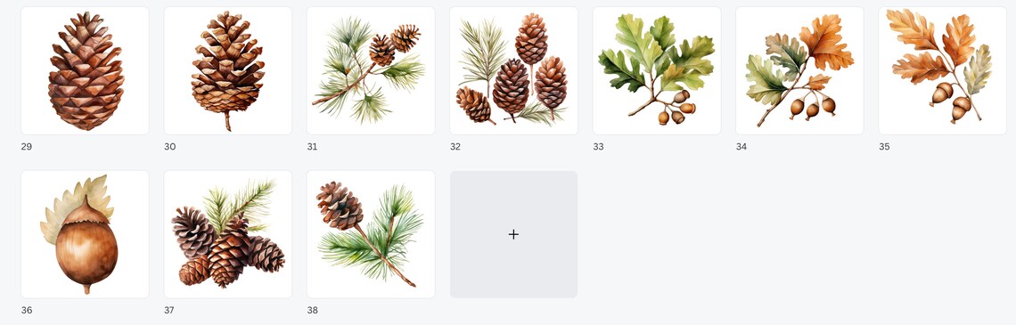 Acorns and Pinecones Clipart | Fall Images PNG | Acorn PNG | Pinecone ...