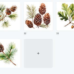 Acorns and Pinecones Clipart | Fall Images PNG | Acorn PNG | Pinecone ...