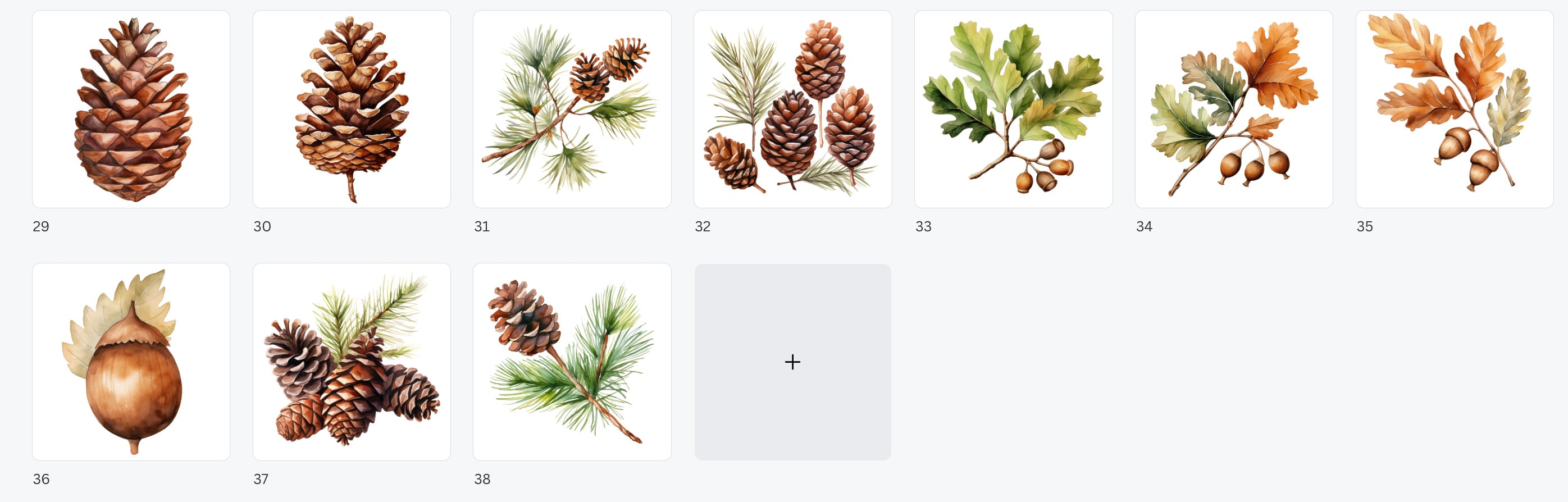 Acorns and Pinecones Clipart | Fall Images PNG | Acorn PNG | Pinecone ...