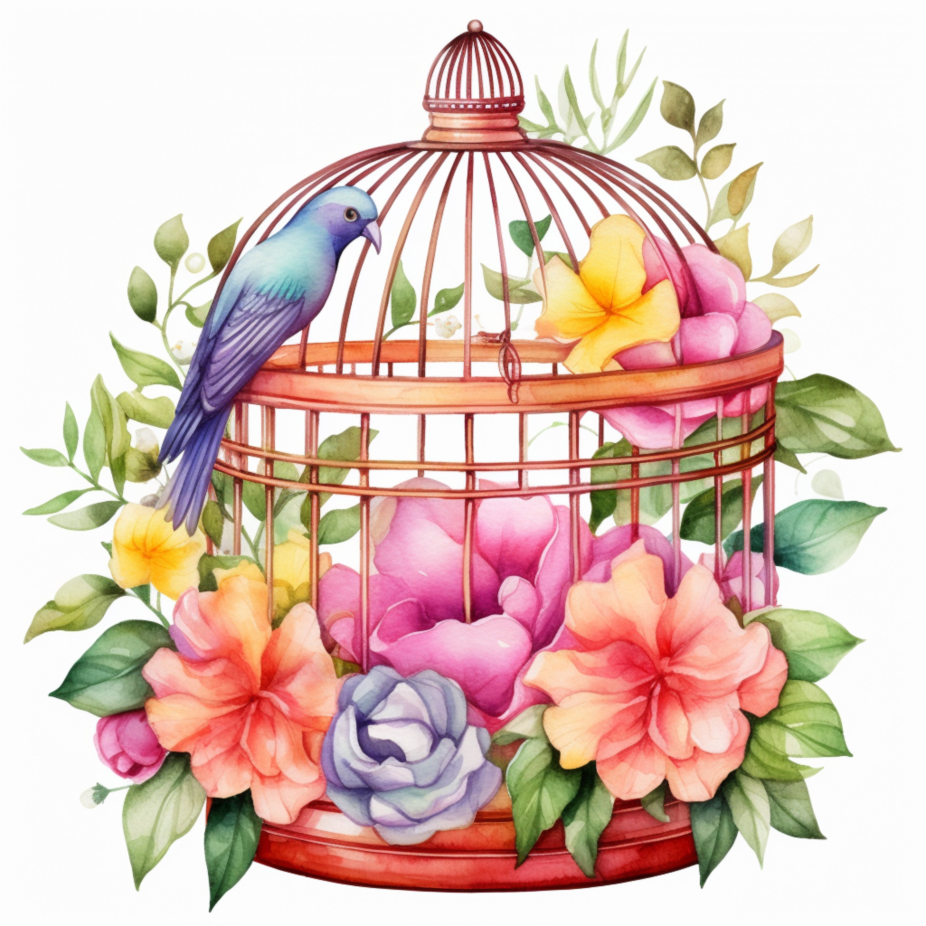 10 Floral Bird Cage JPG 300 DPI Clipart Vol 2 Commercial Use Instant ...