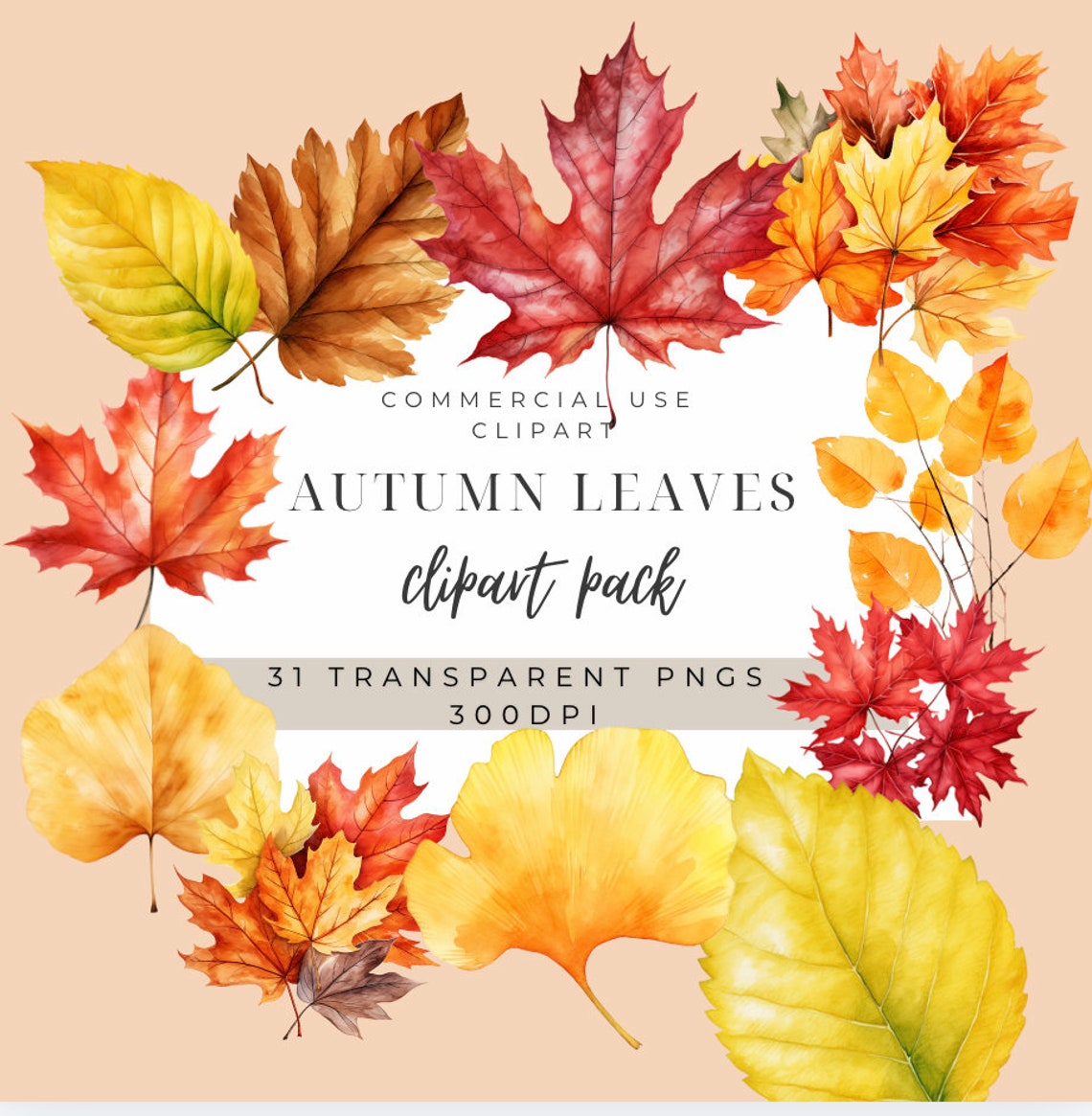 Fall Clipart | Leaves Clipart | Fall Clip Art | Leaf Clipart ...