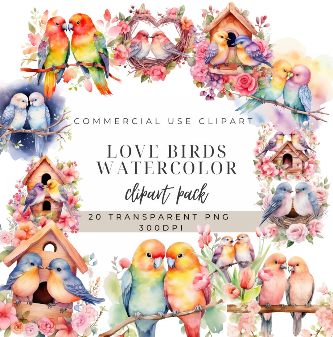 Love Birds Clipart | Valentine Watercolor Clipart Png | Romantic ...