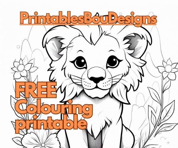 Animal Flashcards + FREE Animal Colour Page | Alphabet Flashcards ...