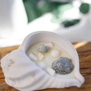 Conch Shell Dish Candle-with Real Shells/shell Trinket Tray /sea Shell ...