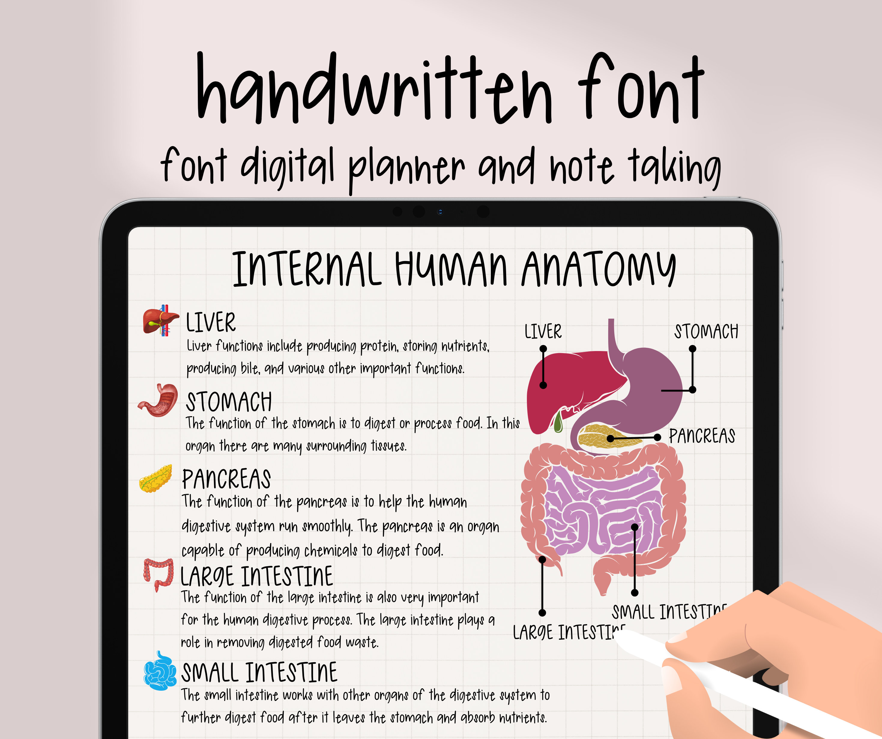 Whimsical Handwritten Font Script, Handwriting Font, Quirky Font for ...