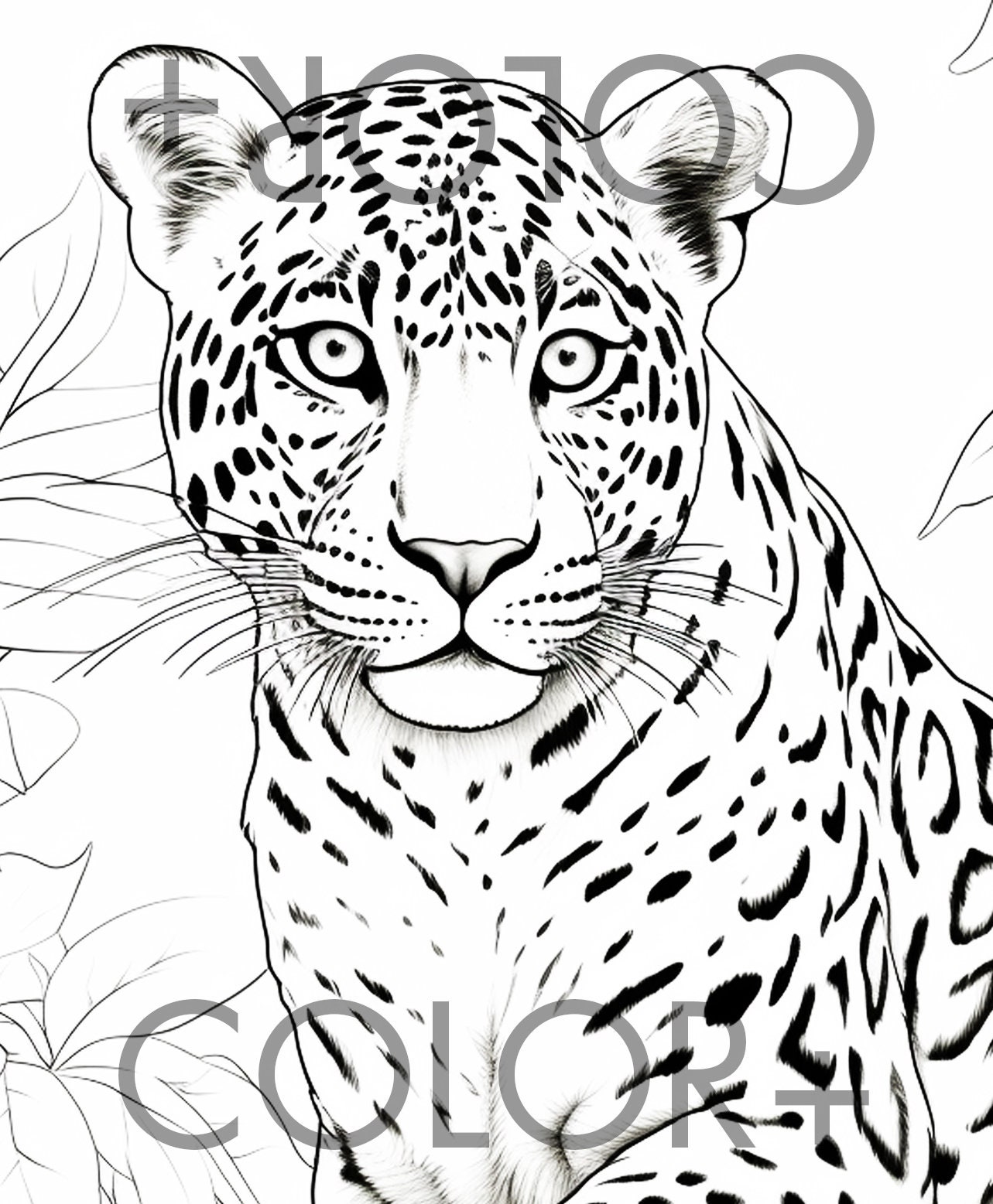 Leopard Mandala Art Coloring Pages for Adults and Teens - Etsy