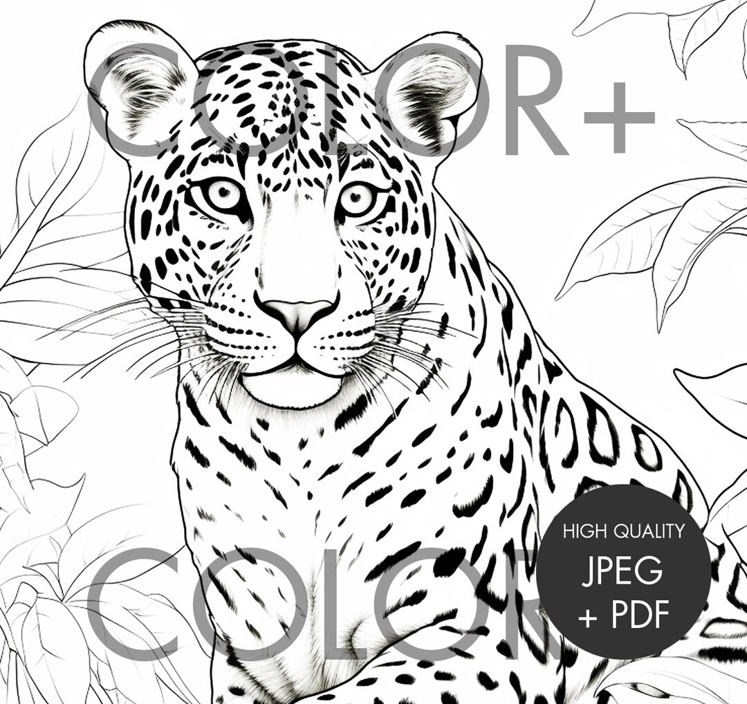 Leopard Mandala Art Coloring Pages for Adults and Teens - Etsy