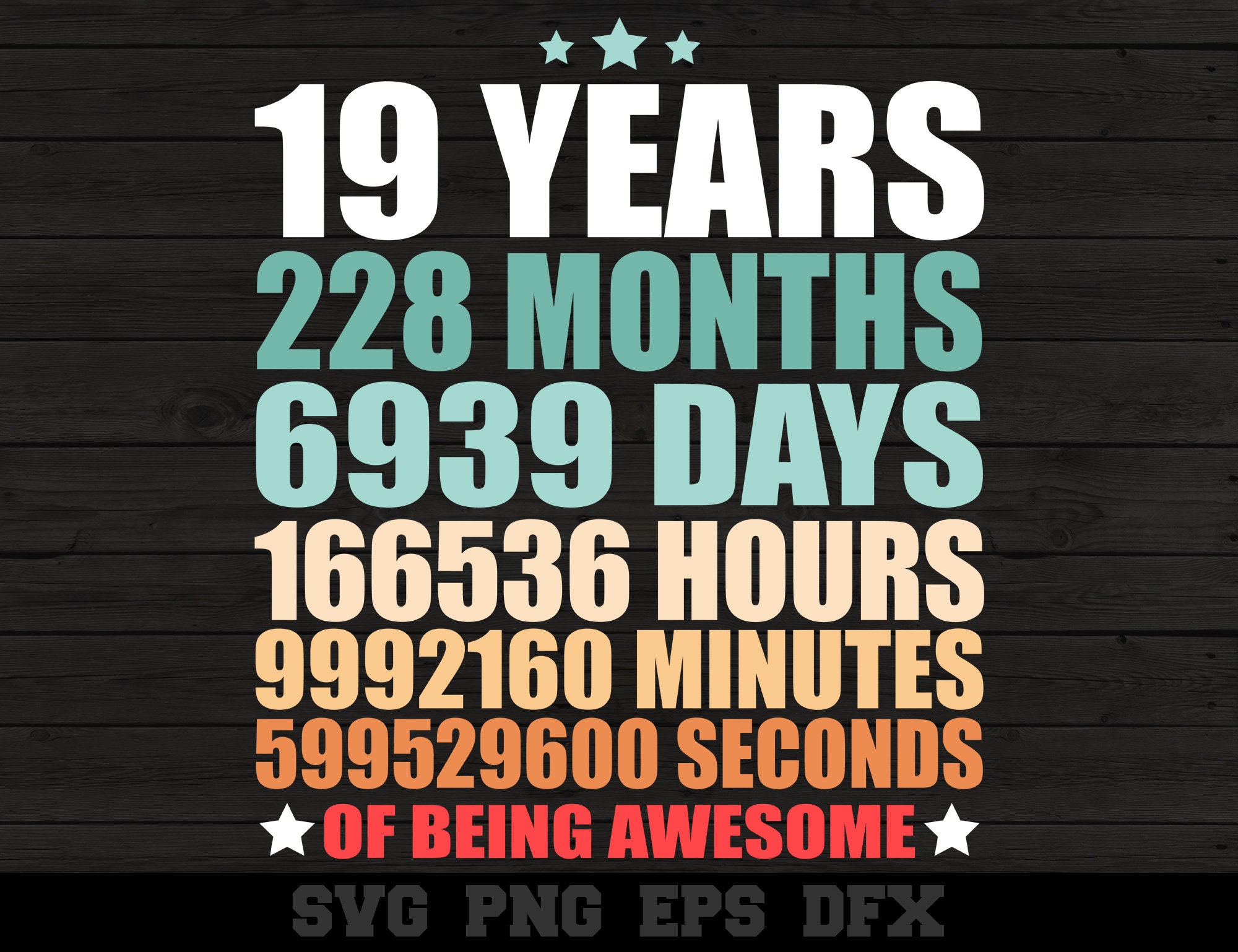 19th Birthday 19 Years 228 Months Being Awesome 19 Years Old SVG Funny ...