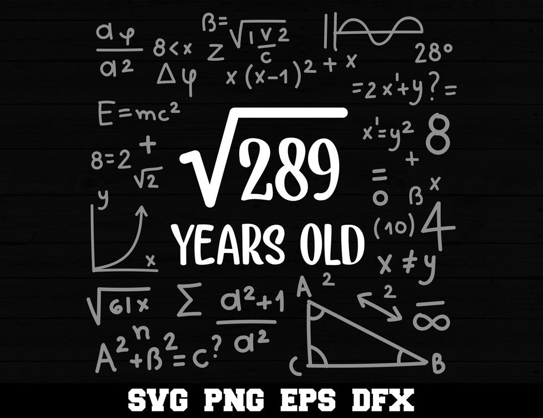 17th Birthday Square Root of 289 Funny 17 Years Old Math Lover SVG ...