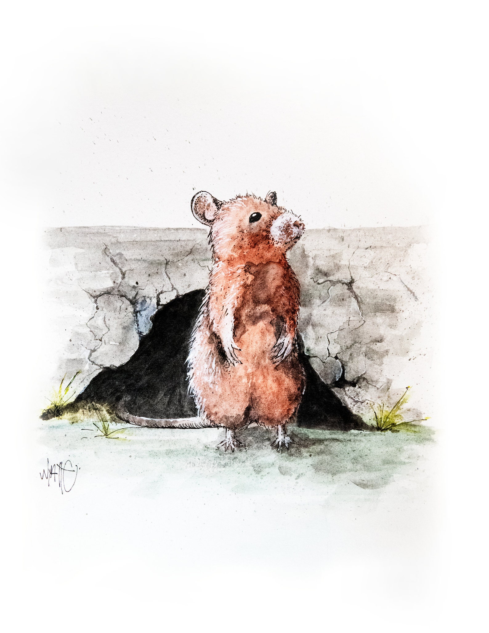 Good Morning, Rat - Etsy