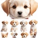 Cute Dog Clipart Bundle 32 PNG Files of Kawaii Dog Art for - Etsy