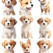 Cute Dog Clipart Bundle 32 PNG Files of Kawaii Dog Art for - Etsy