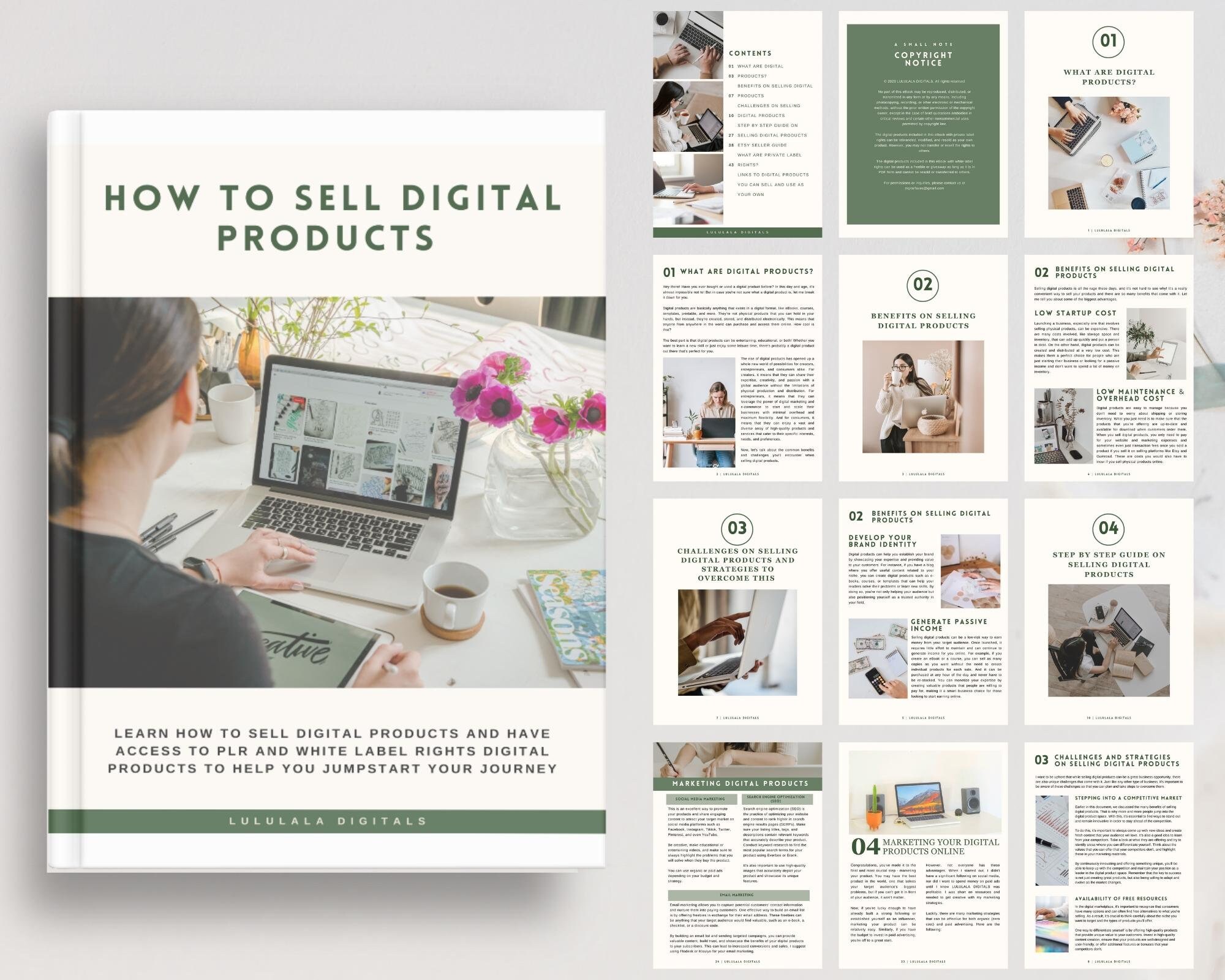 How to Sell Digital Products Done for You Digital Products PLR Reseller Etsy Guide Plr Products ...