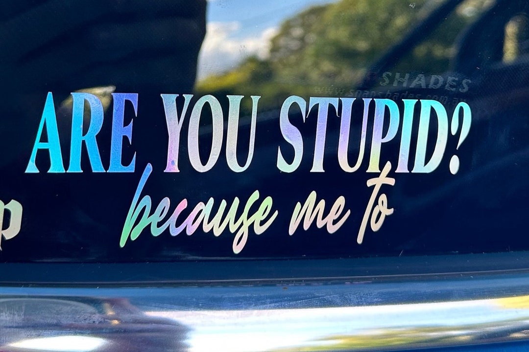 ARE YOU STUPID? - Vinyl Decal Sticker Funny Meme Brainrot Tiktok Car ...