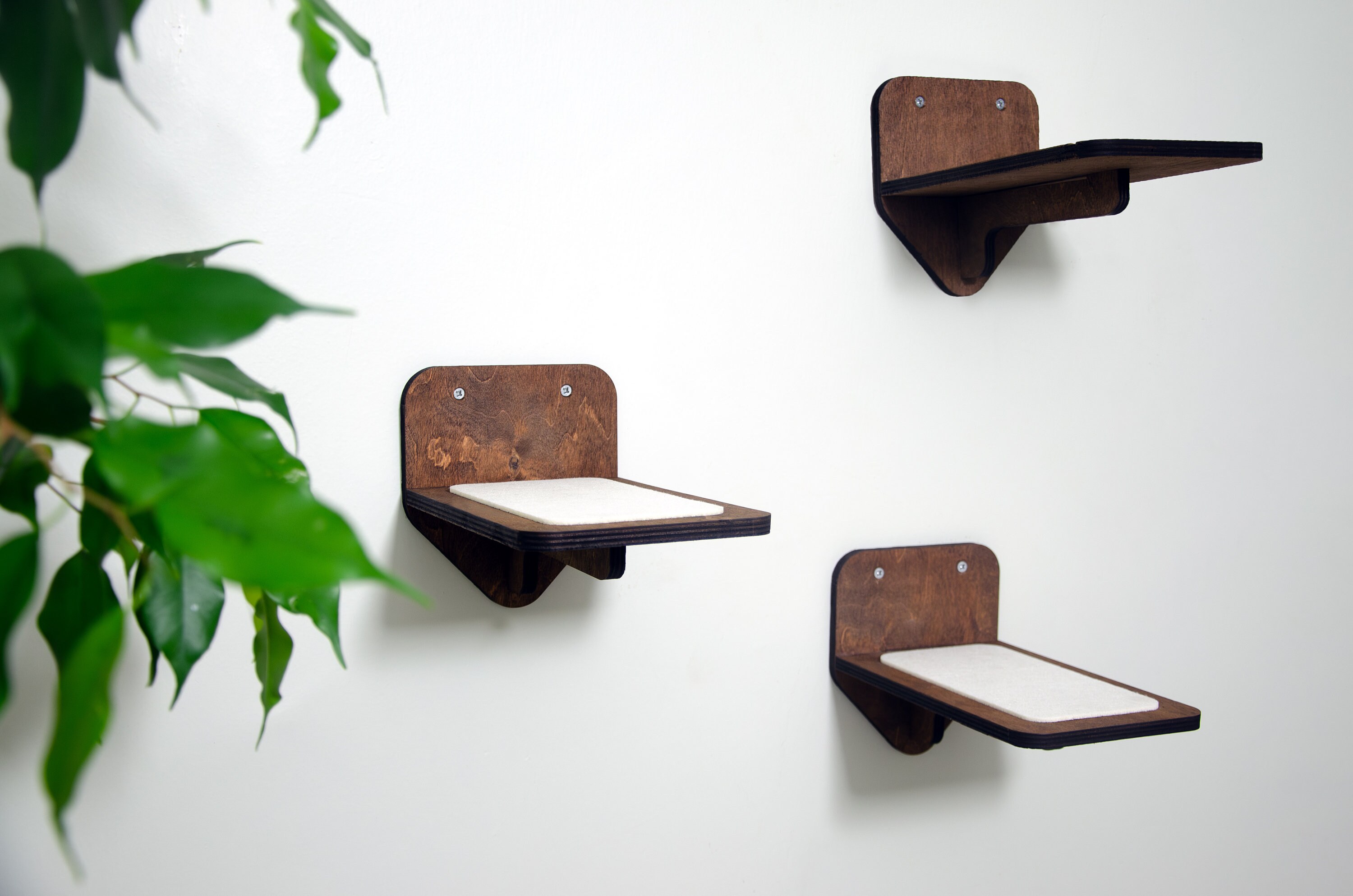 Cat Wall Shelves, Modern Cat Wall Furniture, Cat Steps, Cat Tower, Cat ...