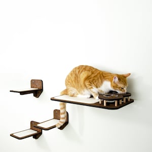 Cat Wall Feeding Shelf, Modern Cat Wall Shelves, Cat Play Furniture ...