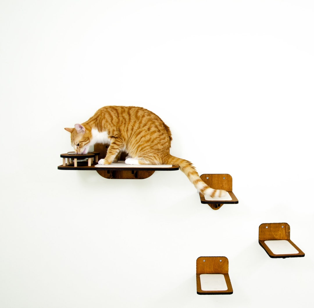 Cat Wall Feeding Shelf, Modern Cat Wall Shelves, Cat Play Furniture ...
